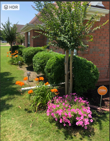 Hello Fall - As the Leaves Turn - Page 243 - Blogs & Forums