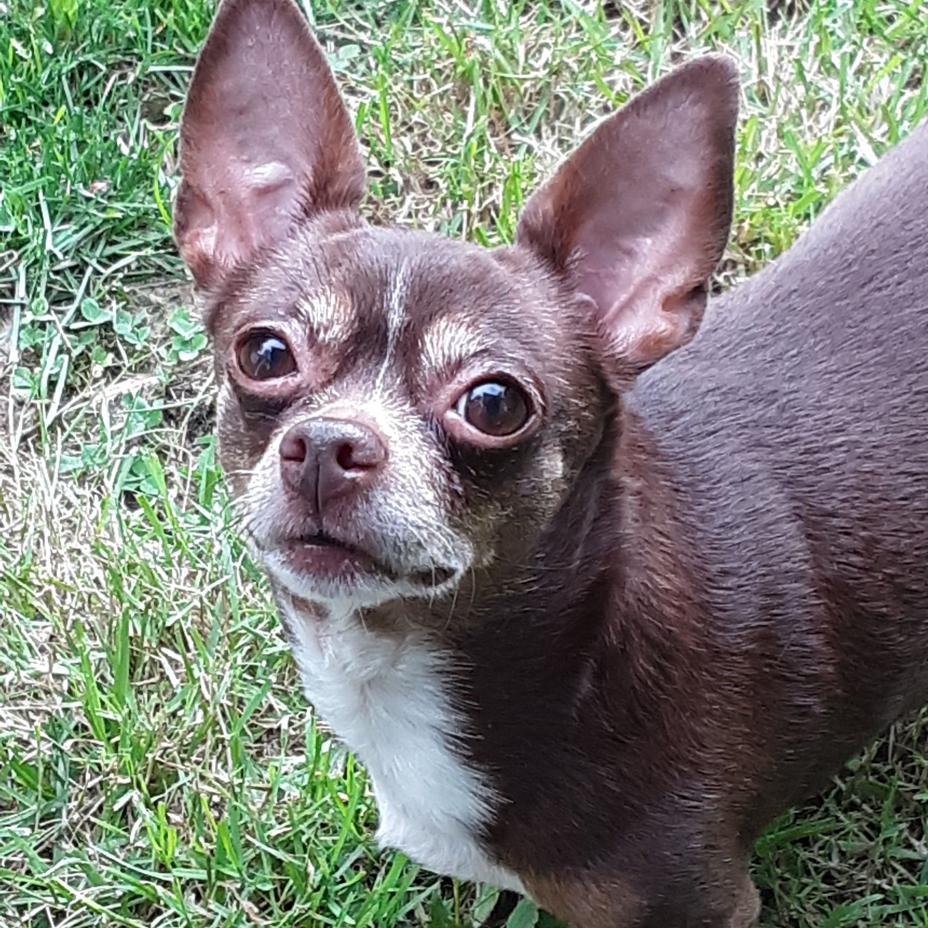 The Bee Hive -- September 2025 Edition - Page 53 - Blogs & Forums