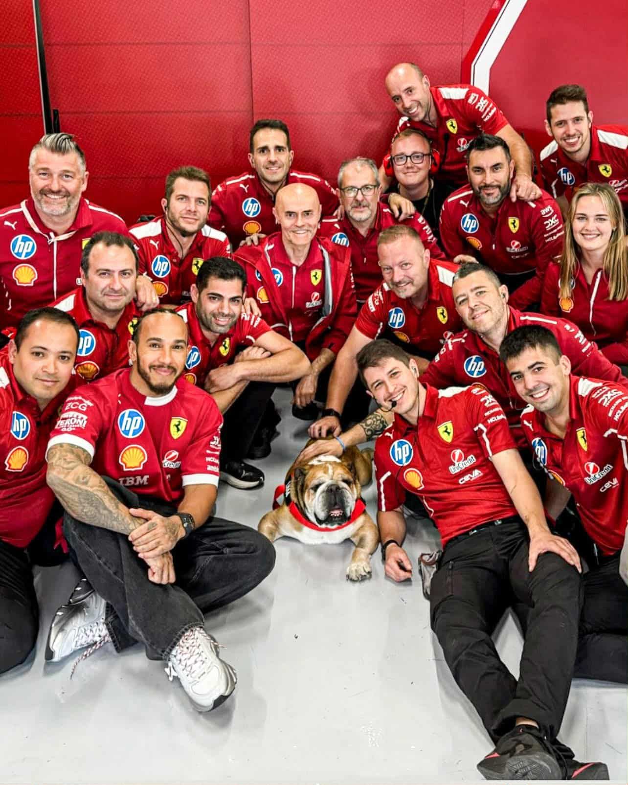 Re: F1 Driver Lewis Hamilton loses his beloved Ros... - Blogs & Forums