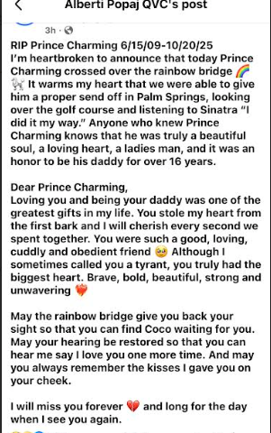 Alberti says goodbye to Prince Charming today. RI... - Page 2 - Blogs ...