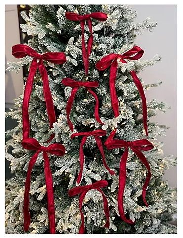 Re: Janine Graff - October 23 - Blogs & Forums