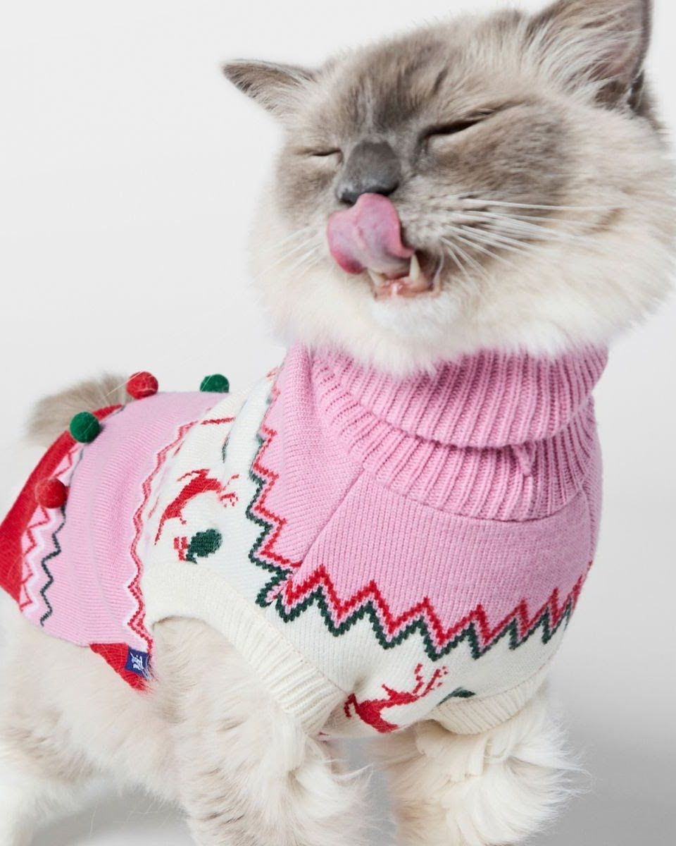 Pretty in Pimk - Blogs & Forums