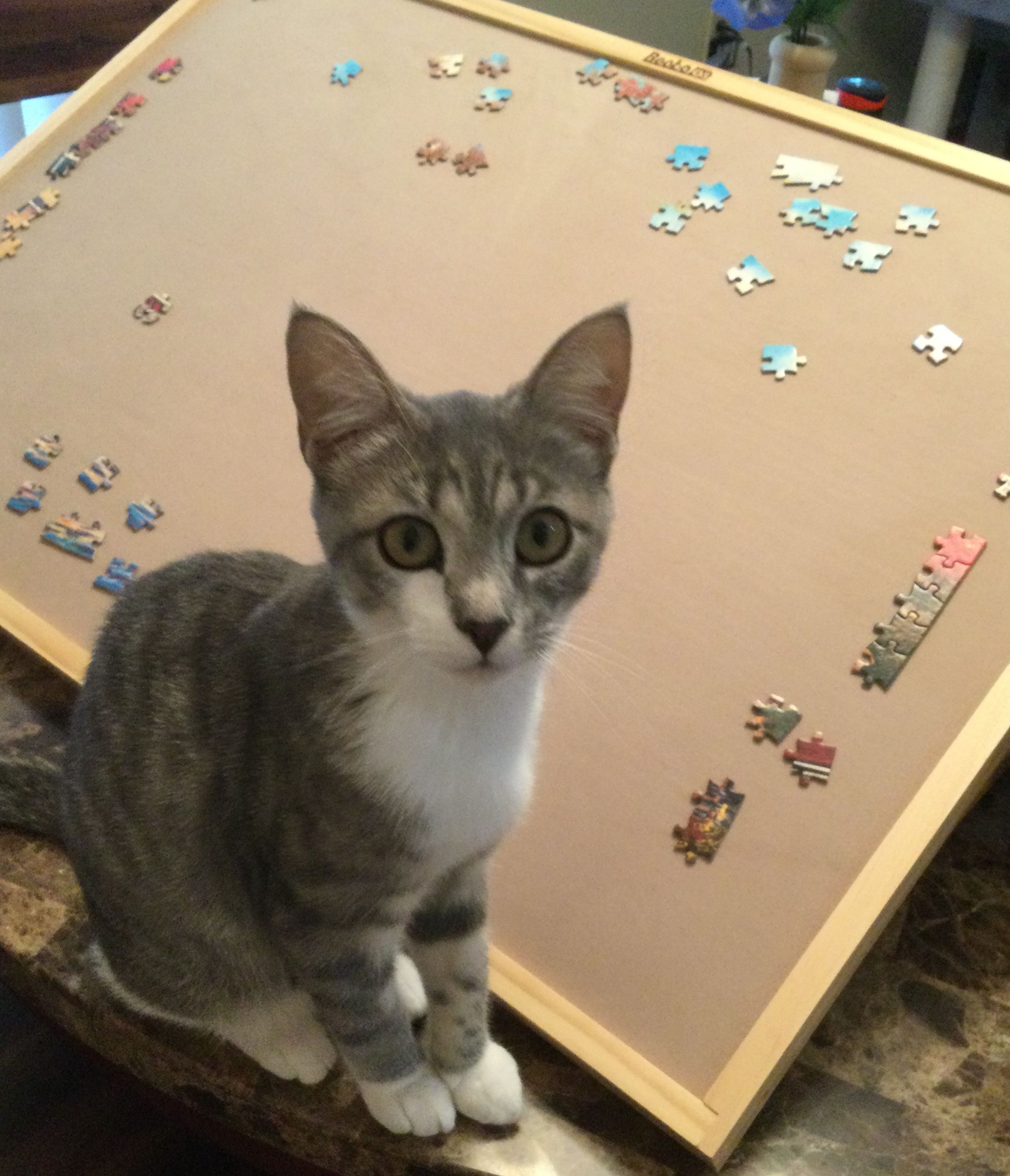 Determined to make this hobby work - Page 2 - Blogs & Forums