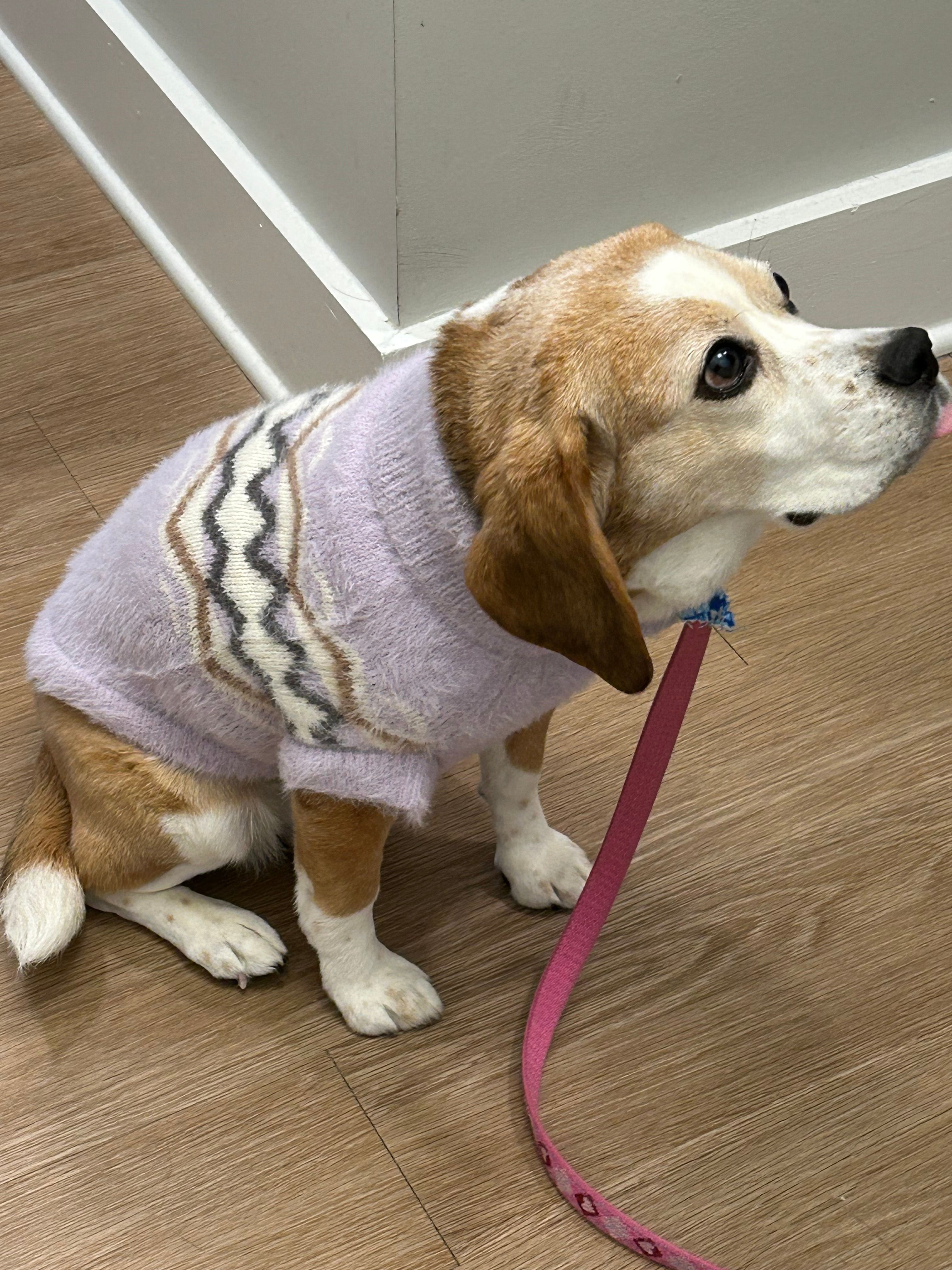ABOUT MOLLY - Page 2 - Blogs & Forums
