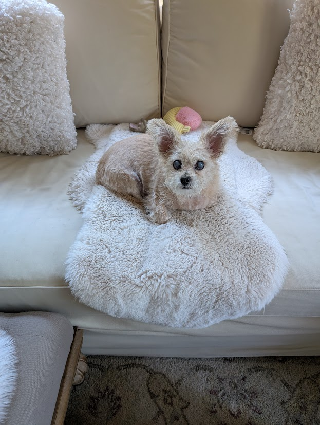 Re: Fun with AI and xmas Photos.... - Blogs & Forums