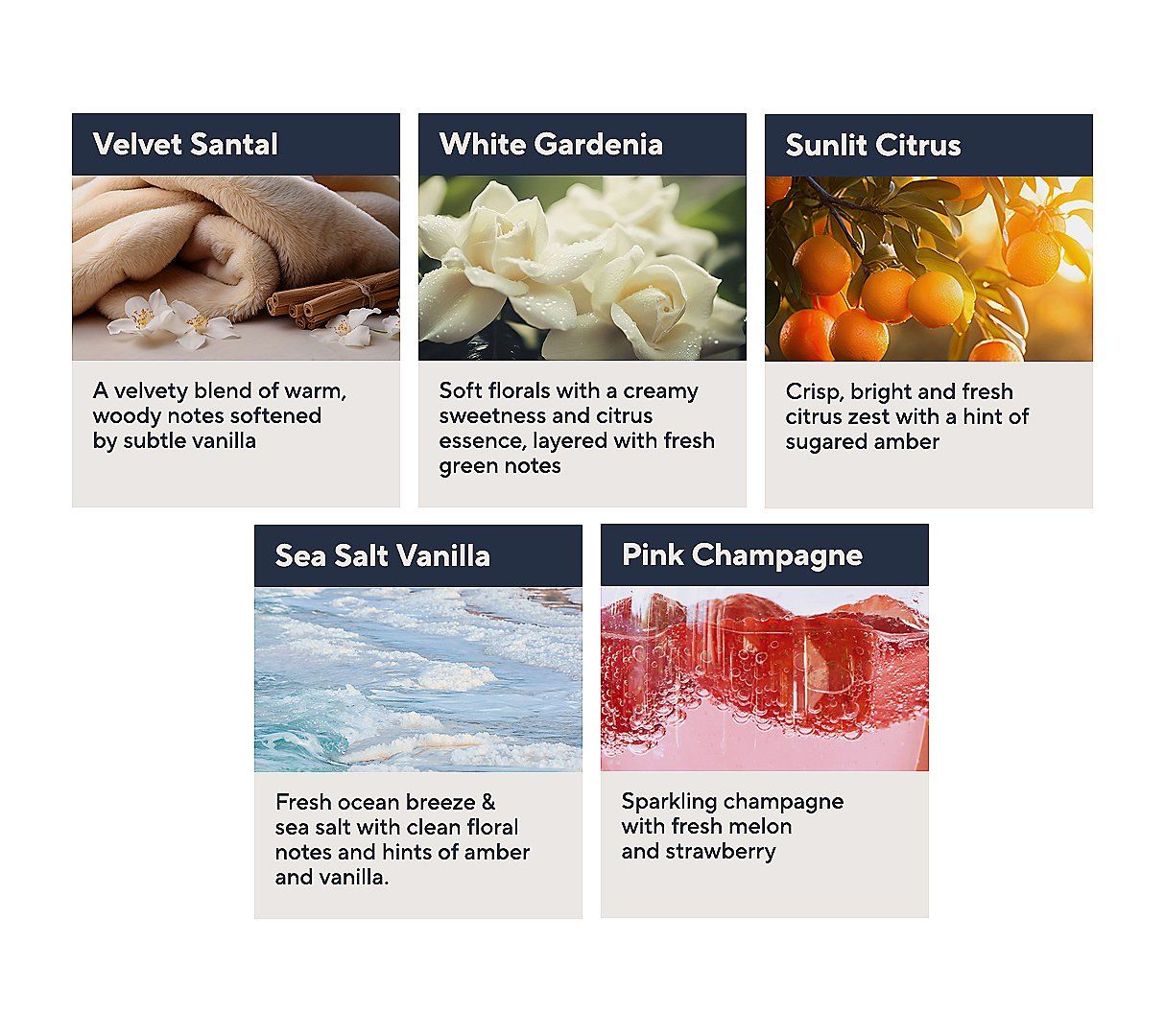 Whish TSV - December 30, 2025 - Page 3 - Blogs & Forums