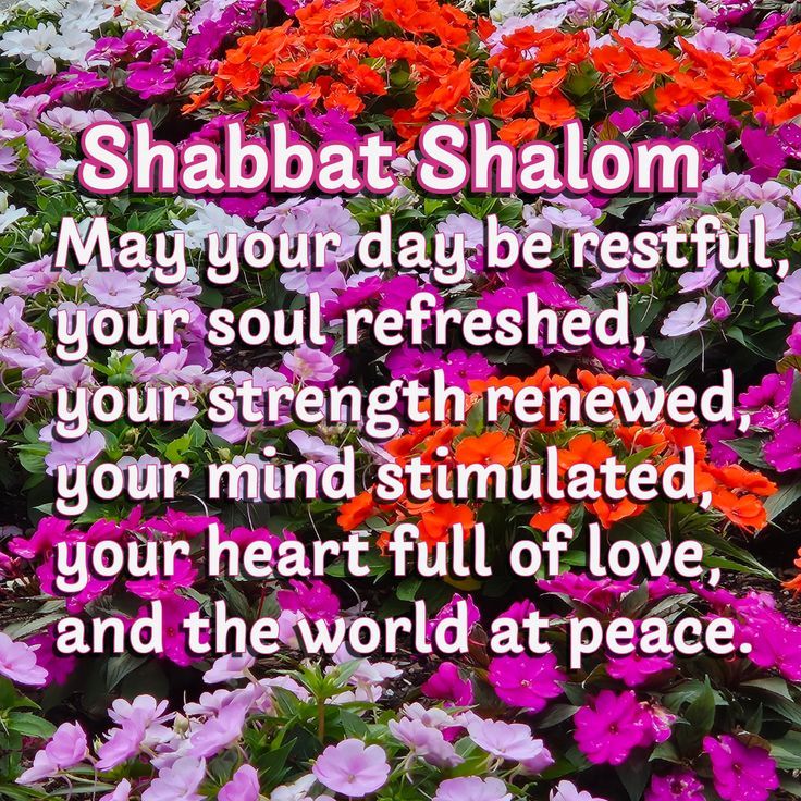 Re: *****SHABBAT SHALOM JANUARY 9TH***** - Blogs & Forums