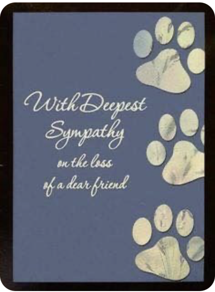 My Heart is Broken - Blogs & Forums