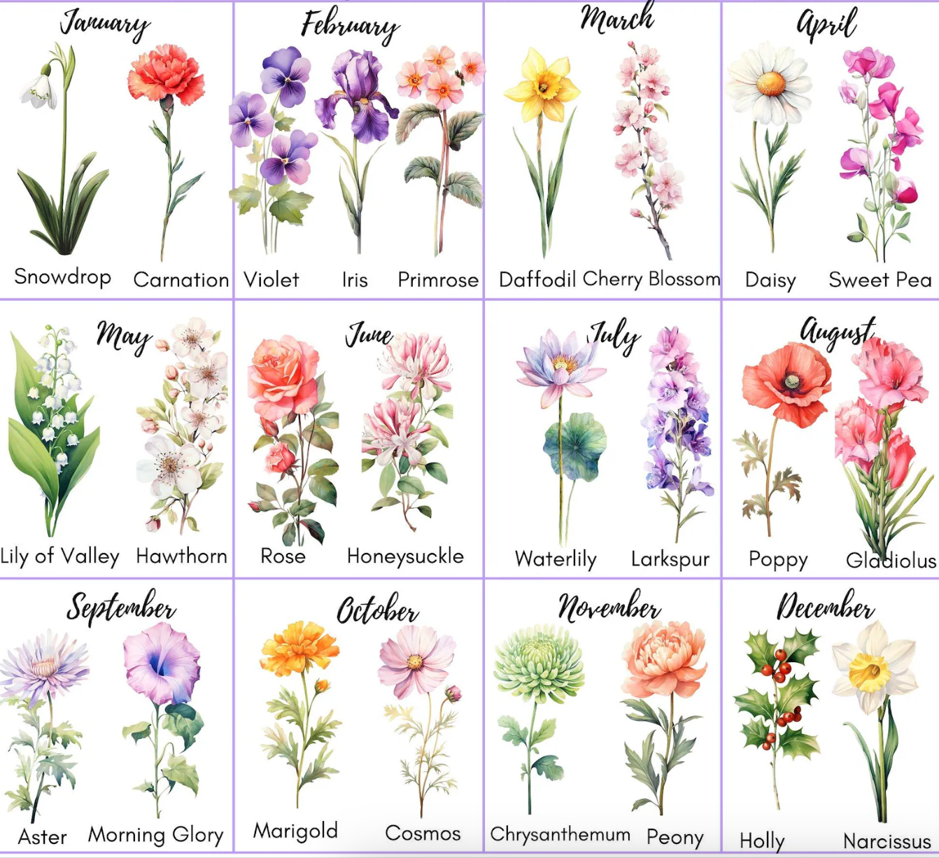 WHAT IS YOUR BIRTH FLOWER? - Page 3 - Blogs & Forums
