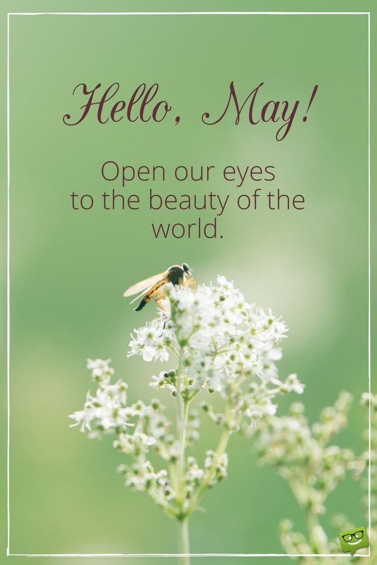 Positive Thoughts For May 2026 - Page 13 - Blogs & Forums
