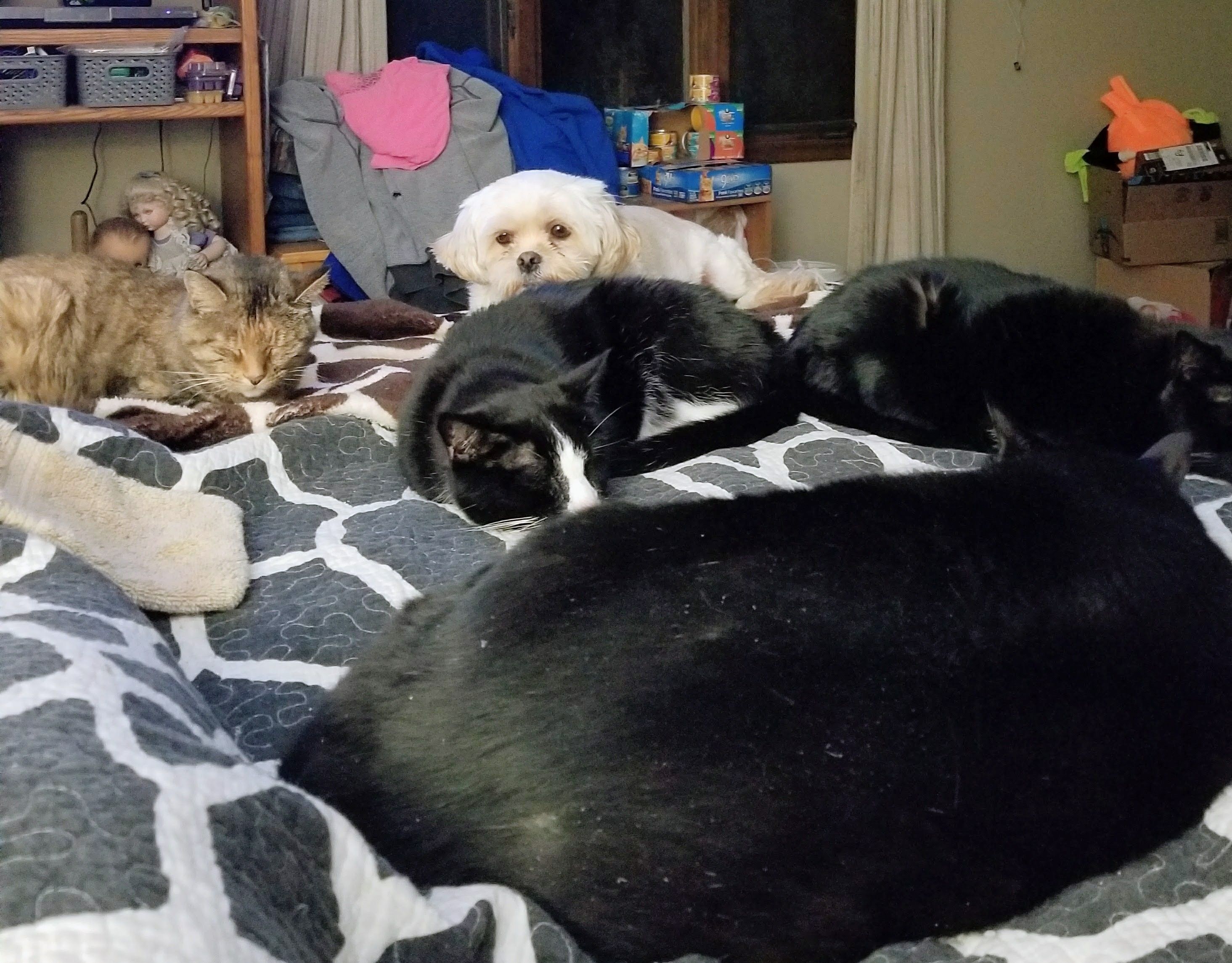 Re: A COUPLE ADORABLE LOVE BUGS .... - Blogs & Forums