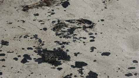 Oil spills onto East LA streets, reaches LA River ... - Blogs & Forums