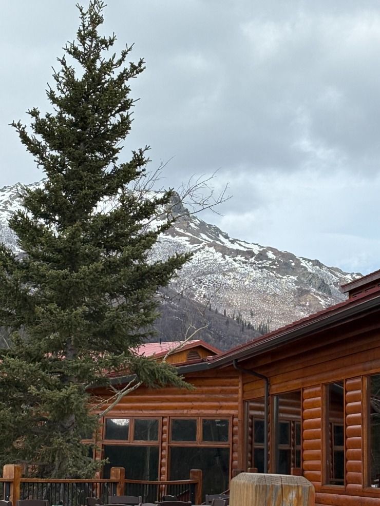 My trip to Alaska - Page 2 - Blogs & Forums