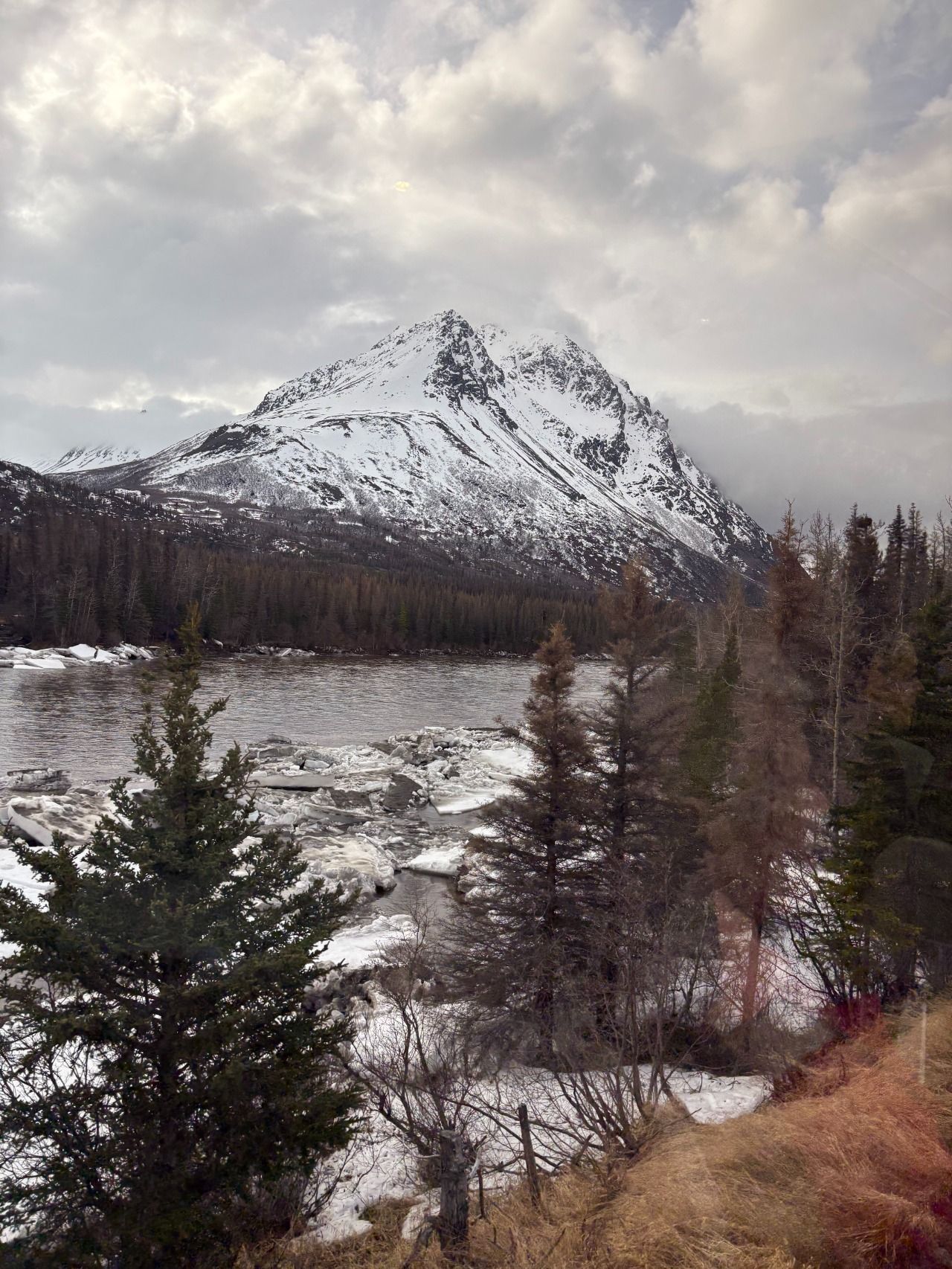 My trip to Alaska - Page 2 - Blogs & Forums