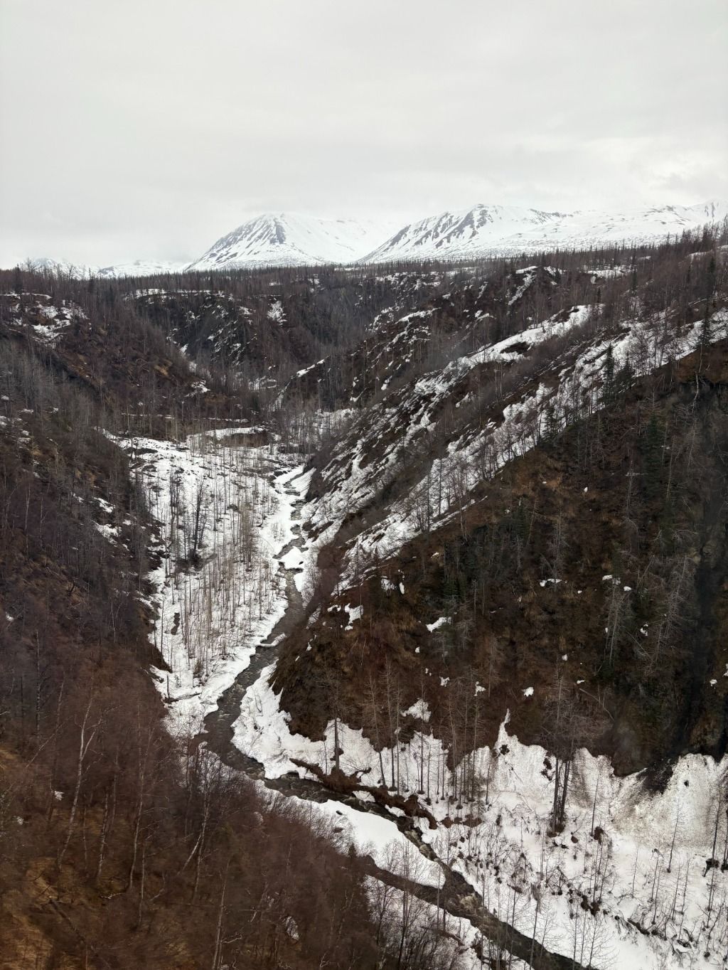 My trip to Alaska - Blogs & Forums