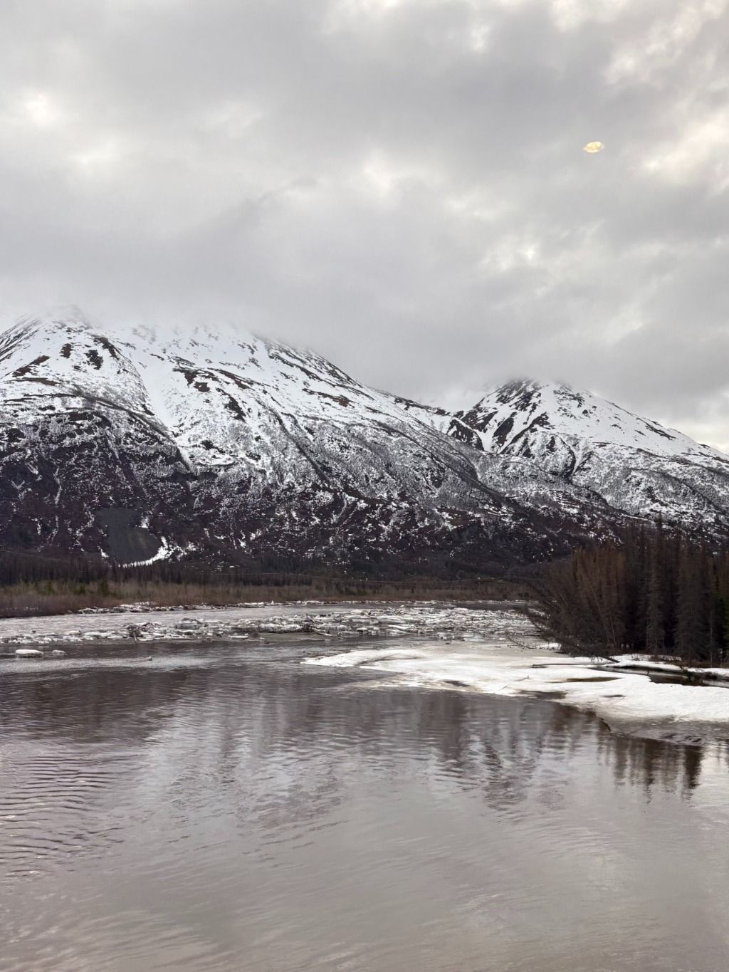 My trip to Alaska - Page 2 - Blogs & Forums