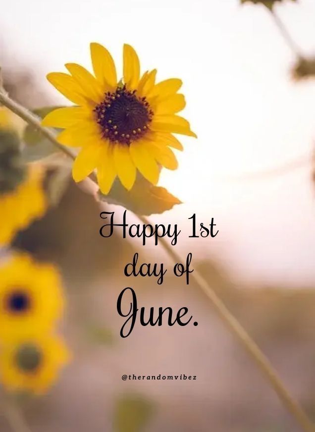 Positive Thoughts For June 2026 - Page 20 - Blogs & Forums