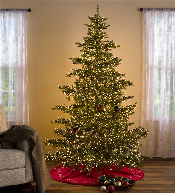 LISA ROBERTSON CHRISTMAS TREES - Blogs & Forums