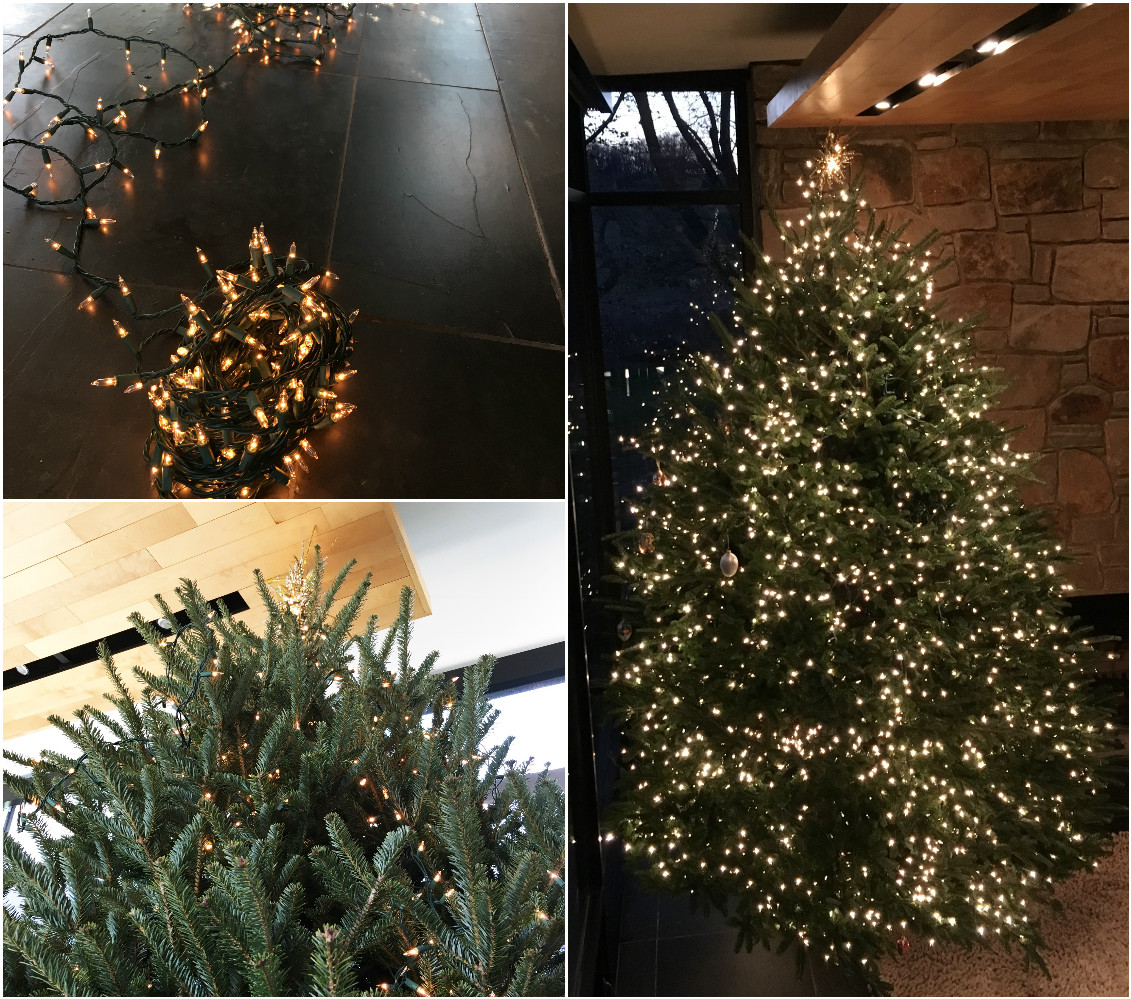 David Dangle's Holiday Home - ohcaz36659