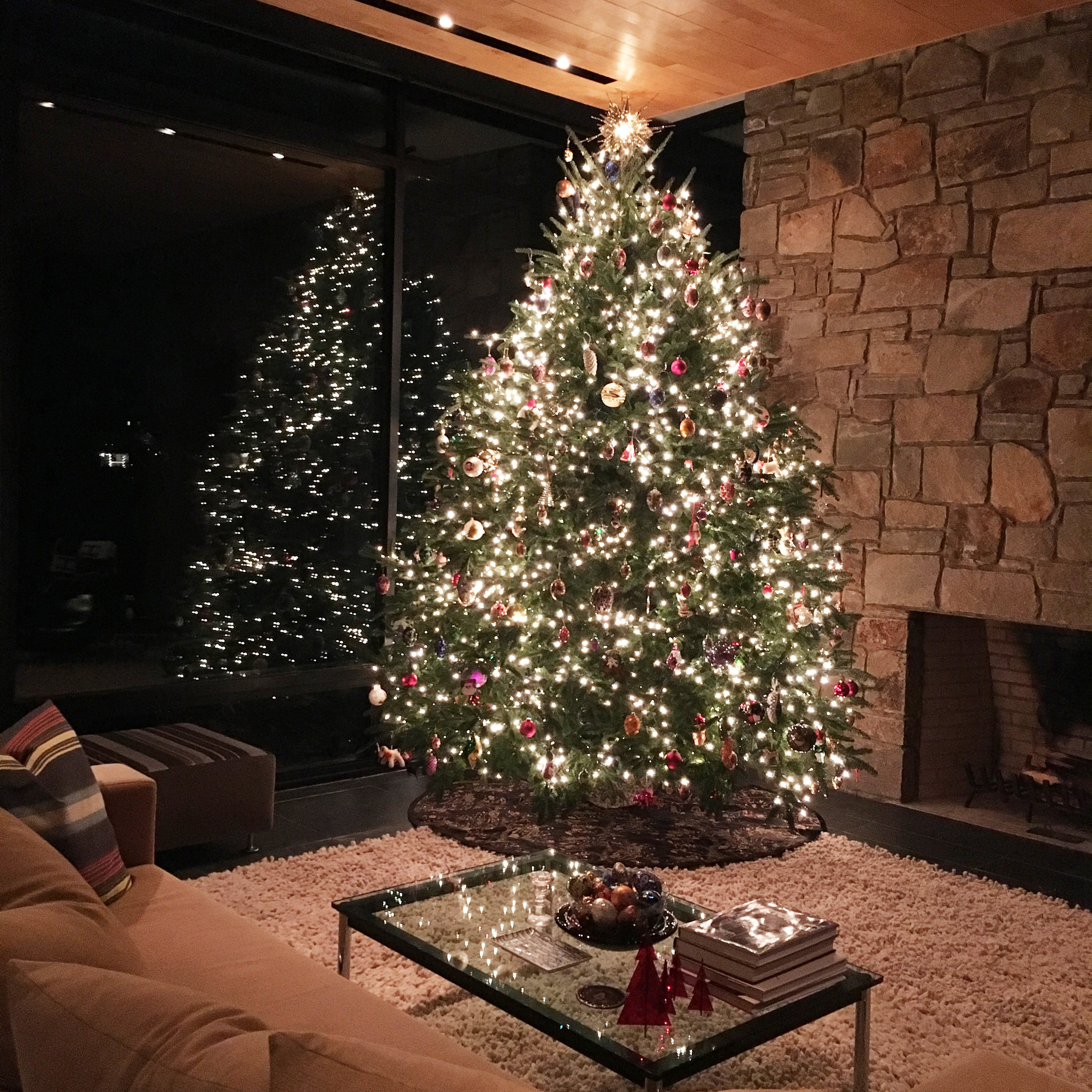 David Dangle's Holiday Home - ohcaz36659